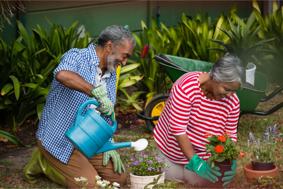 Growing Older, Gardening Smarter: Making Gardens Senior-Friendly ...